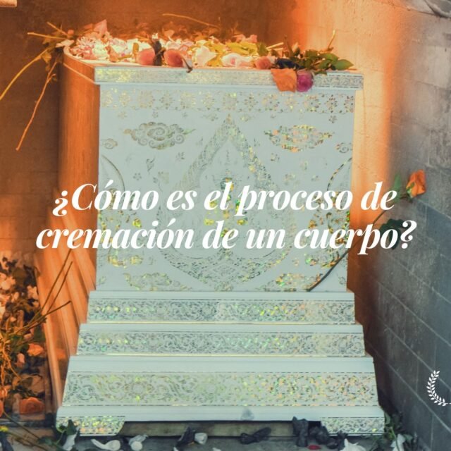 ¿Cómo es el proceso de cremación de un cuerpo? 👩‍🏫